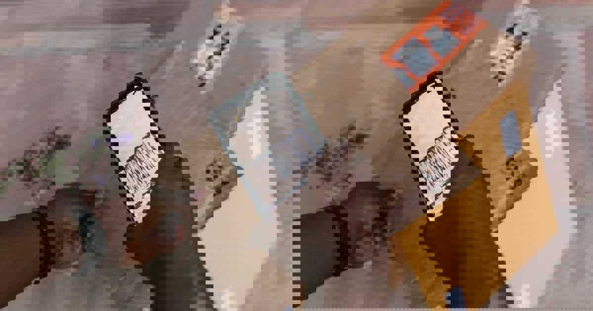 Lot numbers explained - All you need to know about lot numbers ...